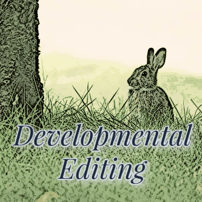 Developmental Editing - Prometheus Editorial